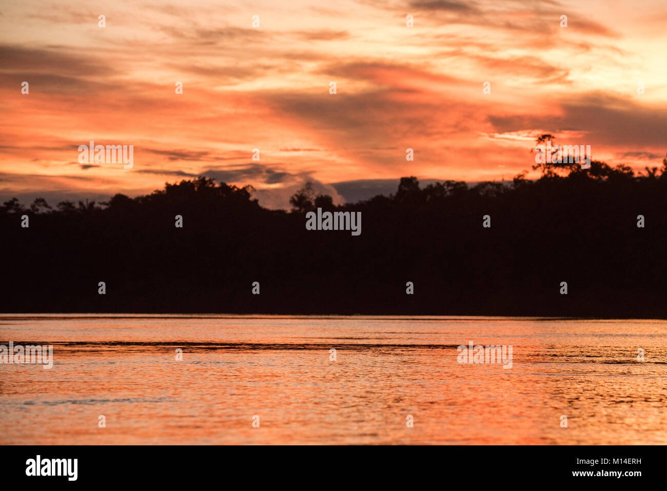 Amazon tree line hi-res stock photography and images - Alamy