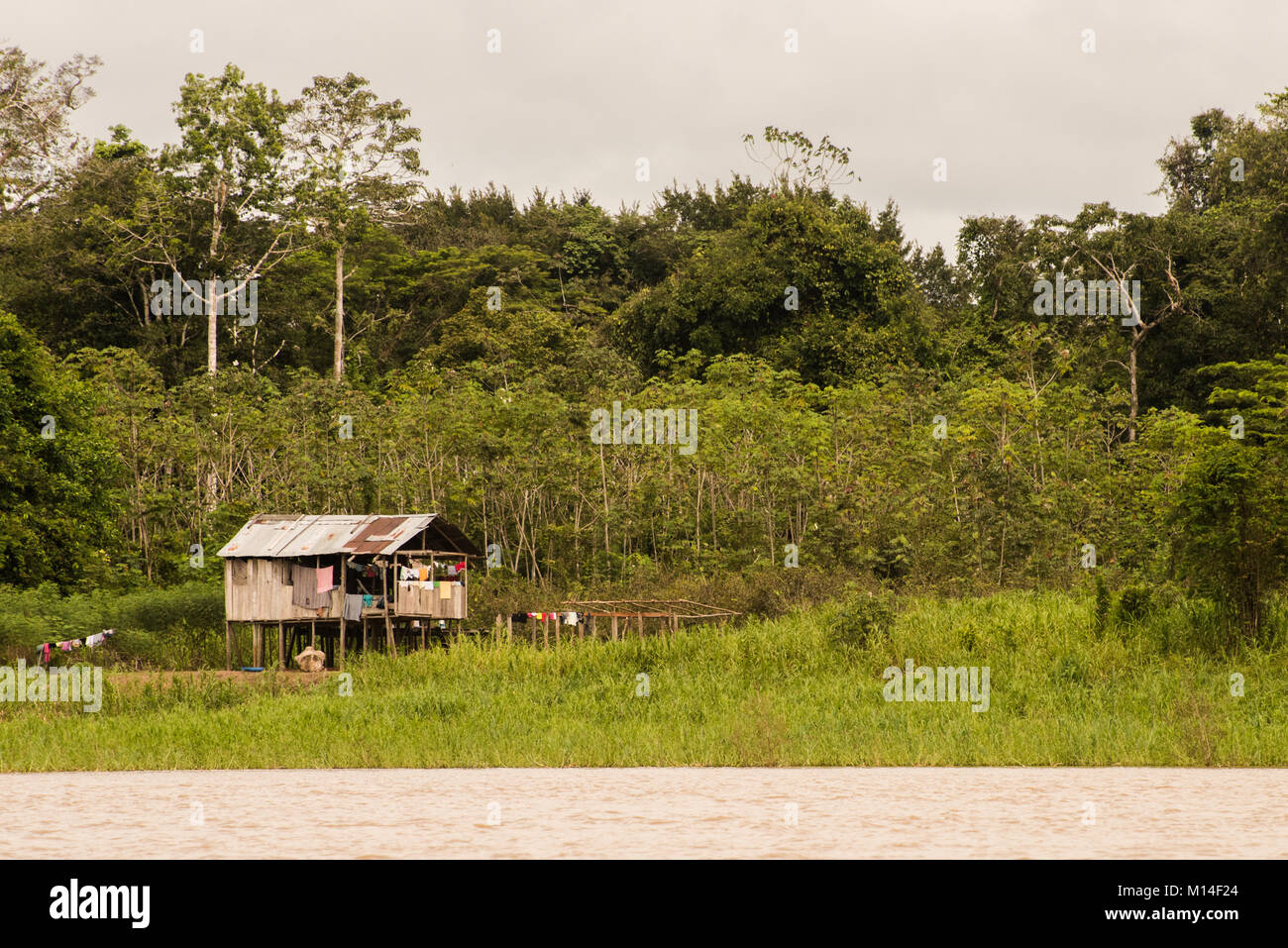 Some houses along the Amazon river, the only mode of transportation is ...