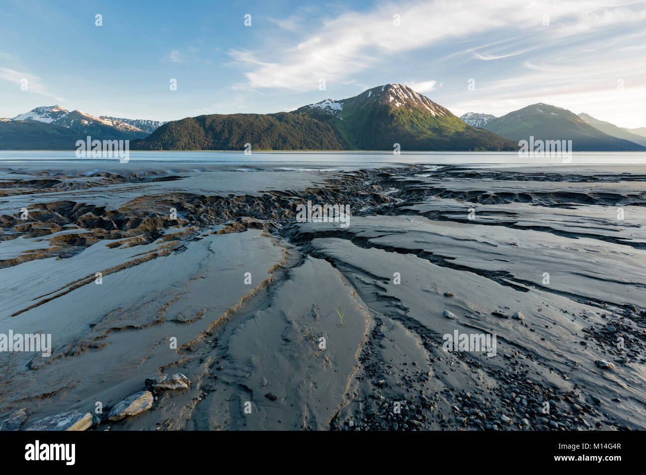 Channels in the silt of Turnagain Arm created by low tide with the ...
