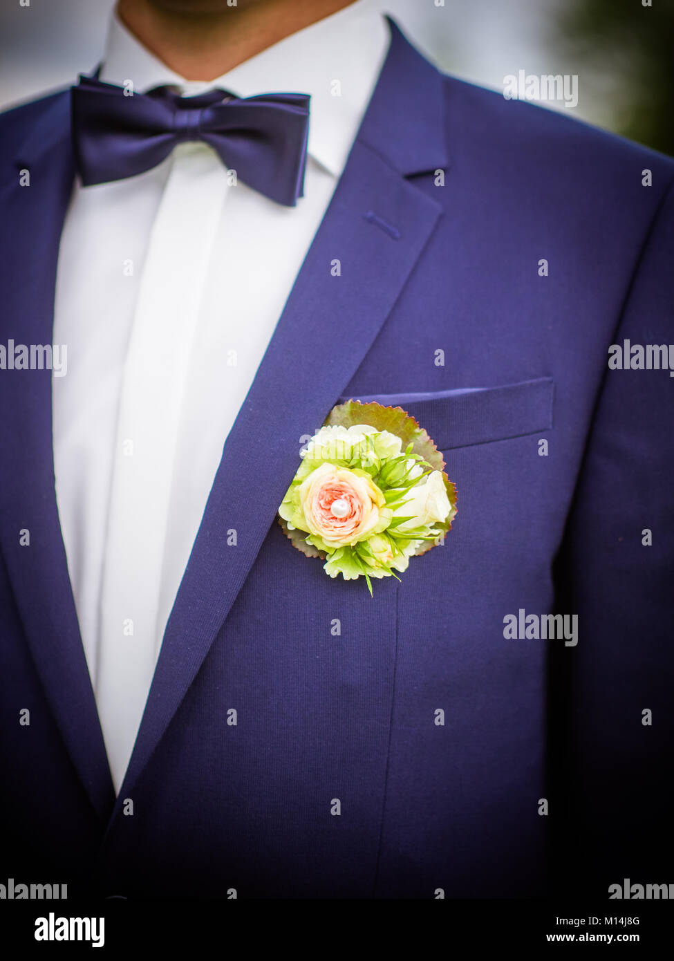 The groom wears a cloth in his jacket Stock Photo - Alamy