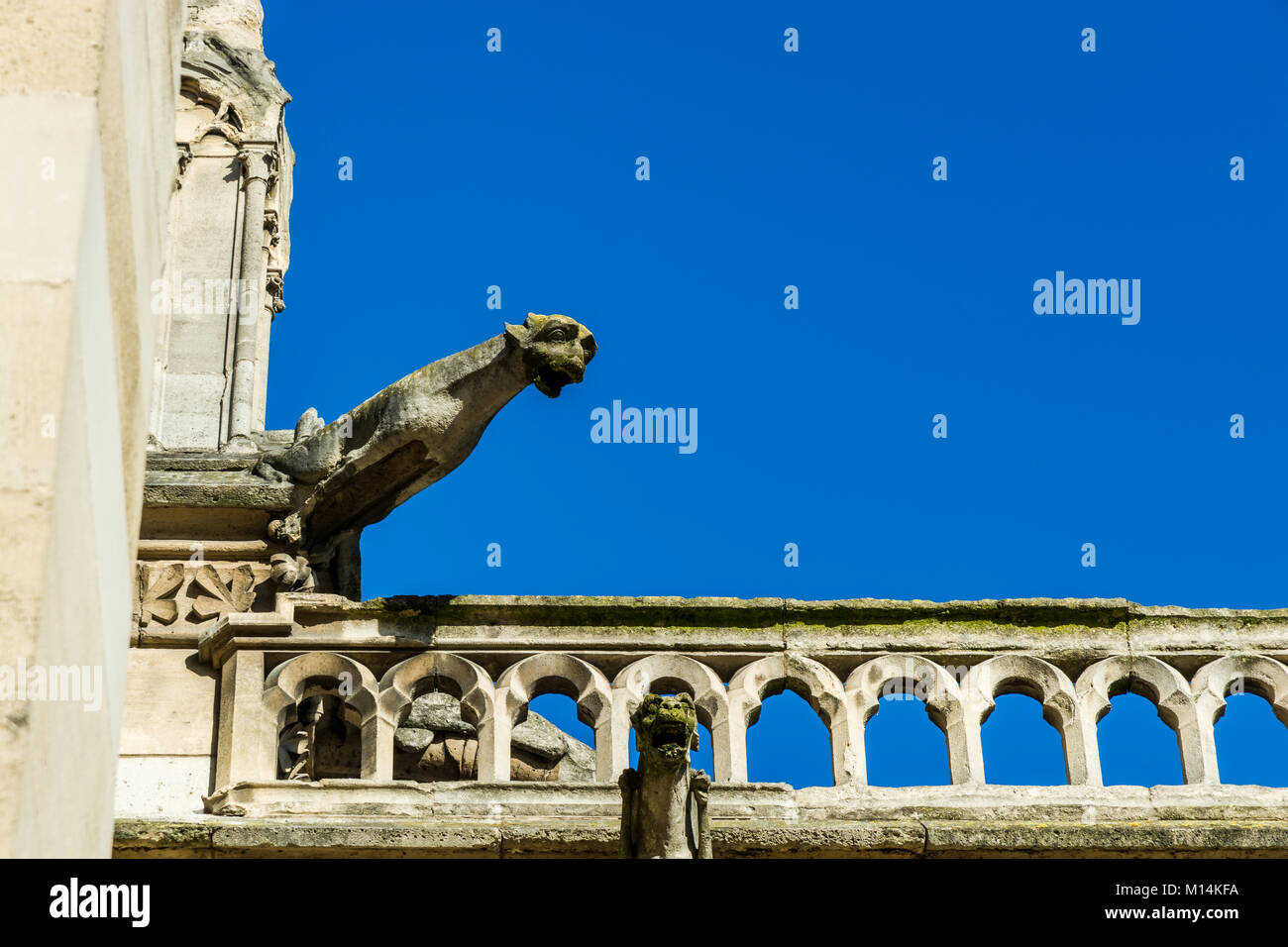 Paris, France: Gargoyle statue (water dragon) on the walls of Notre ...