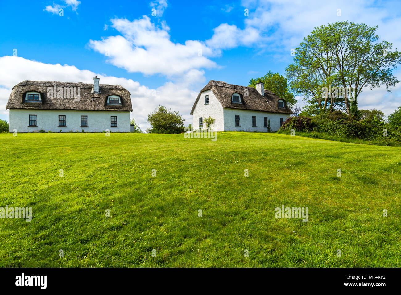 Traditional Irish country cottage houses with thatch roof Stock Photo ...