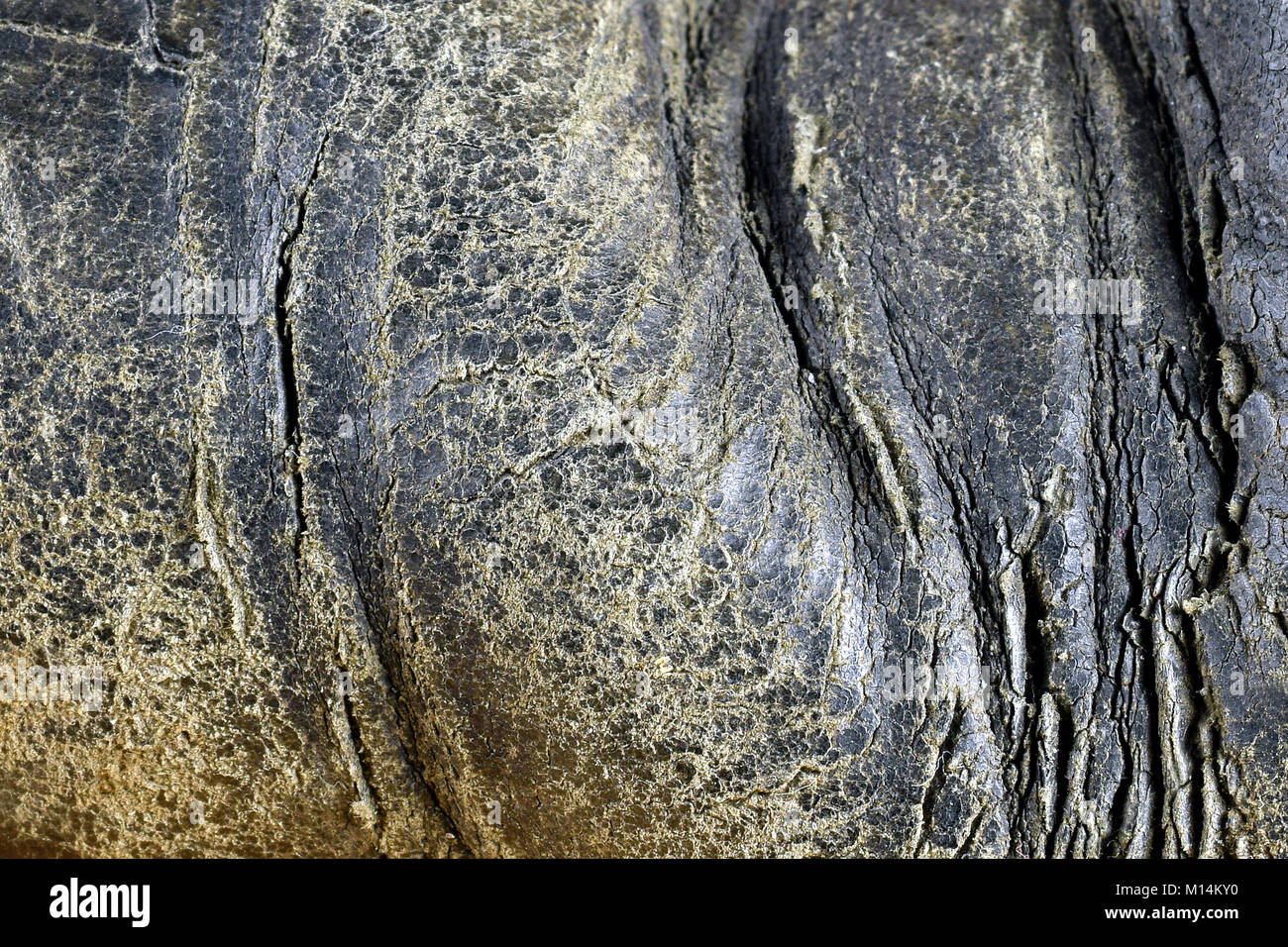 Leather texture background. Detail of old worned combat boot Stock ...