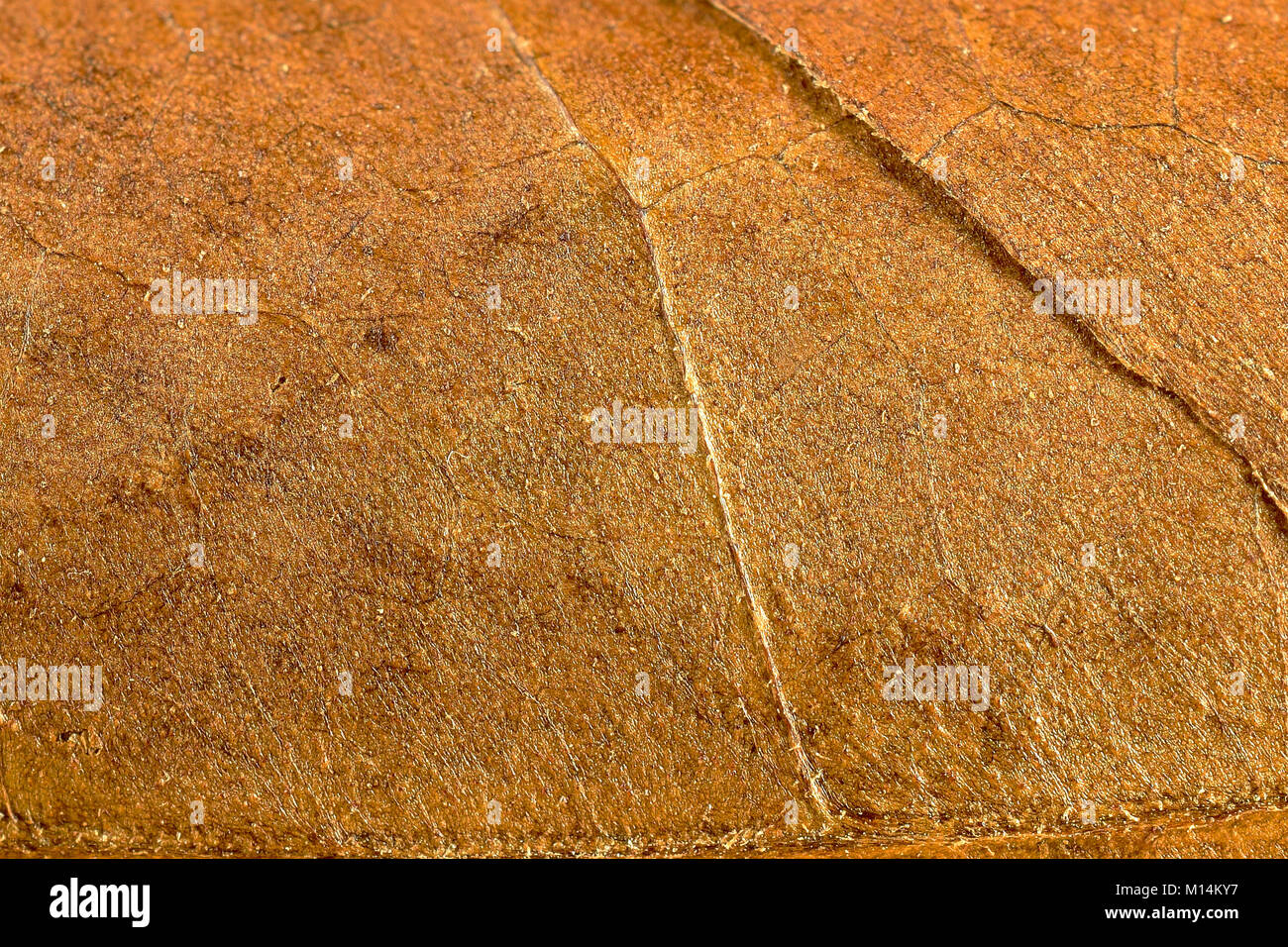 Cigar close up texture background Stock Photo - Alamy