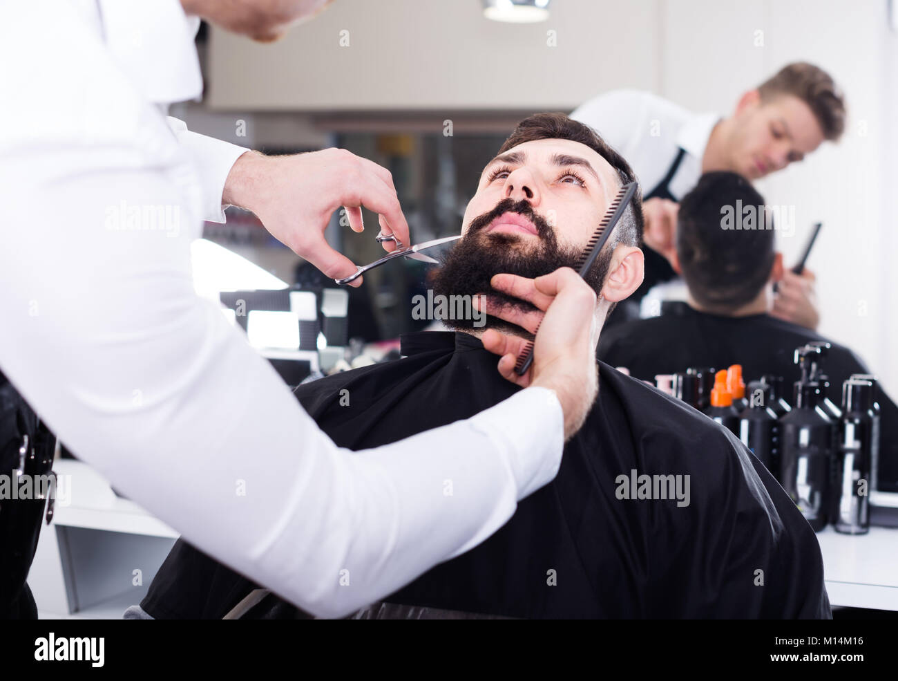Handsome man hairdresser forming beard of client into new shape at hair ...