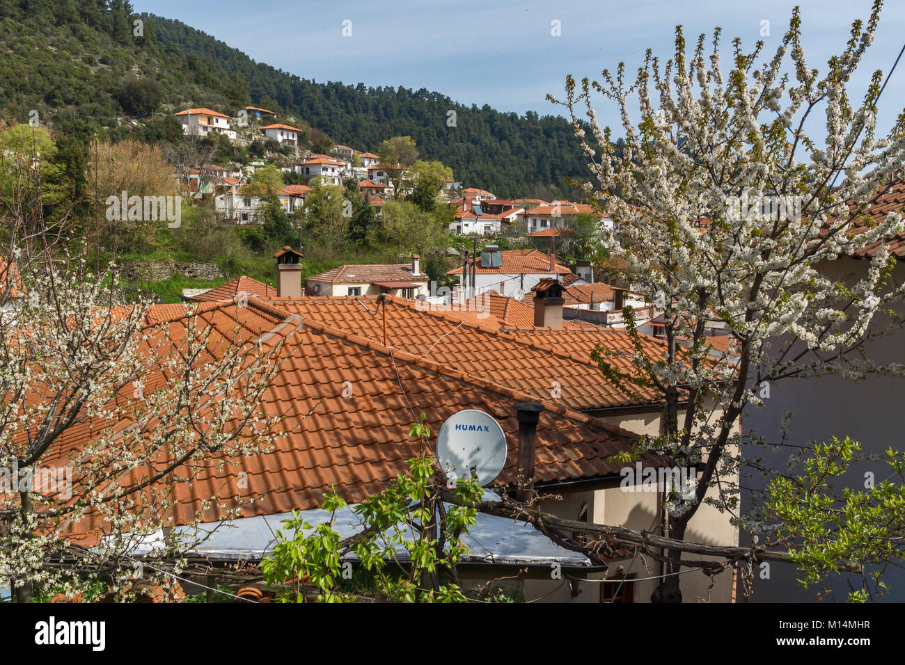 Spring Trees and Panorama to village of Potamia, Thassos island, East ...