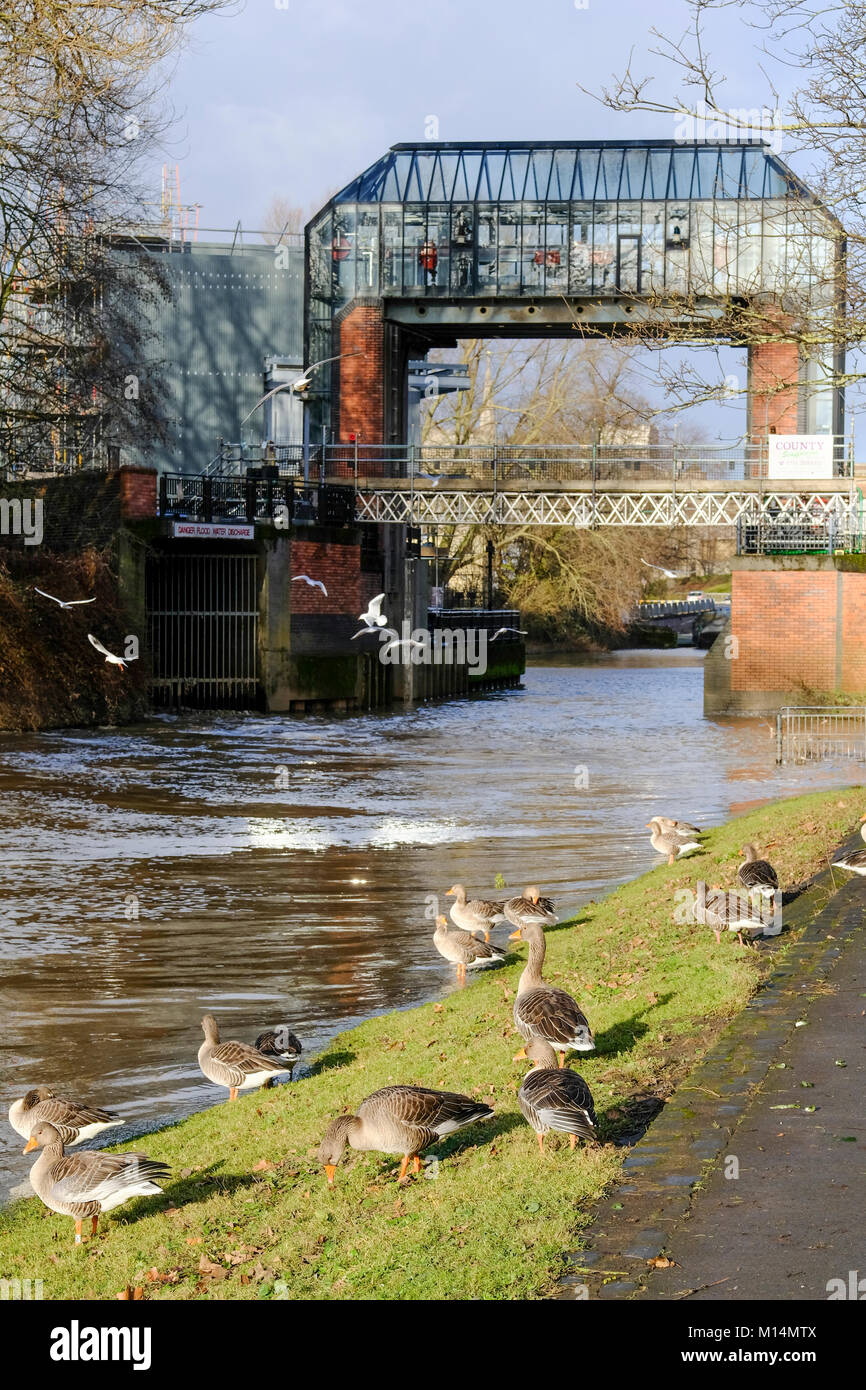 The Foss Barrier, York Stock Photo - Alamy