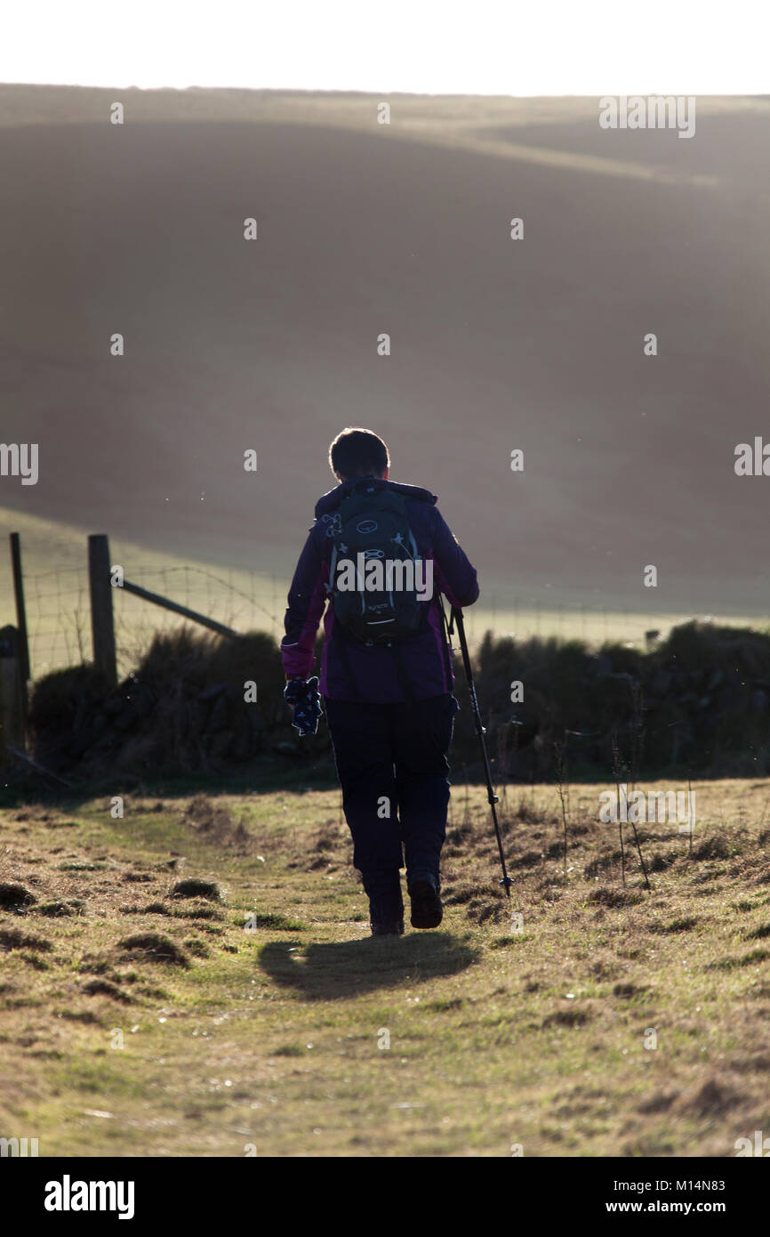The Wales Coast Path. A female walker on the Wales Coast Path route ...