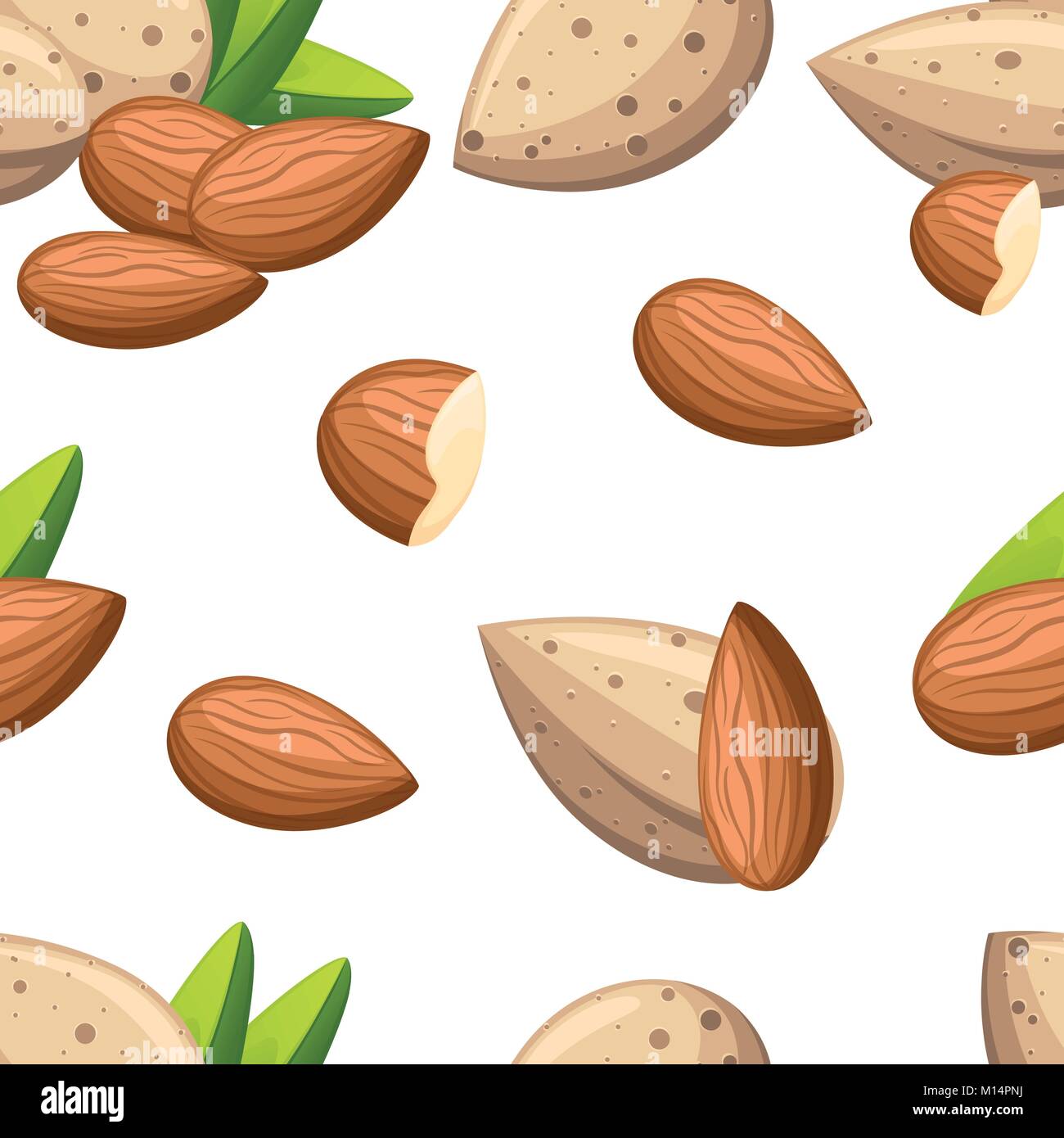 Shelled and without shell almond nut with leaves vector seamless ...