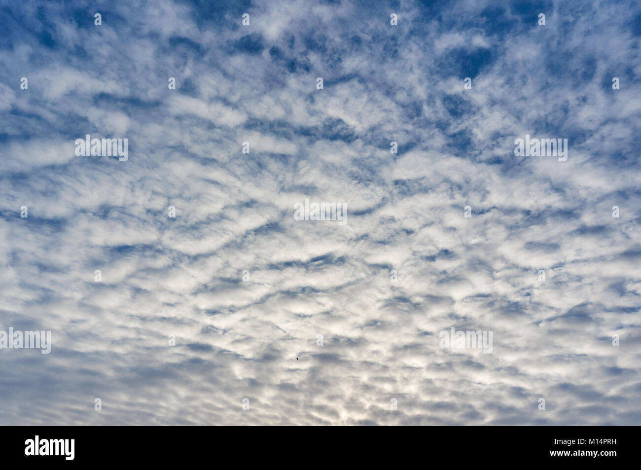 Cloud pattern hi-res stock photography and images - Alamy