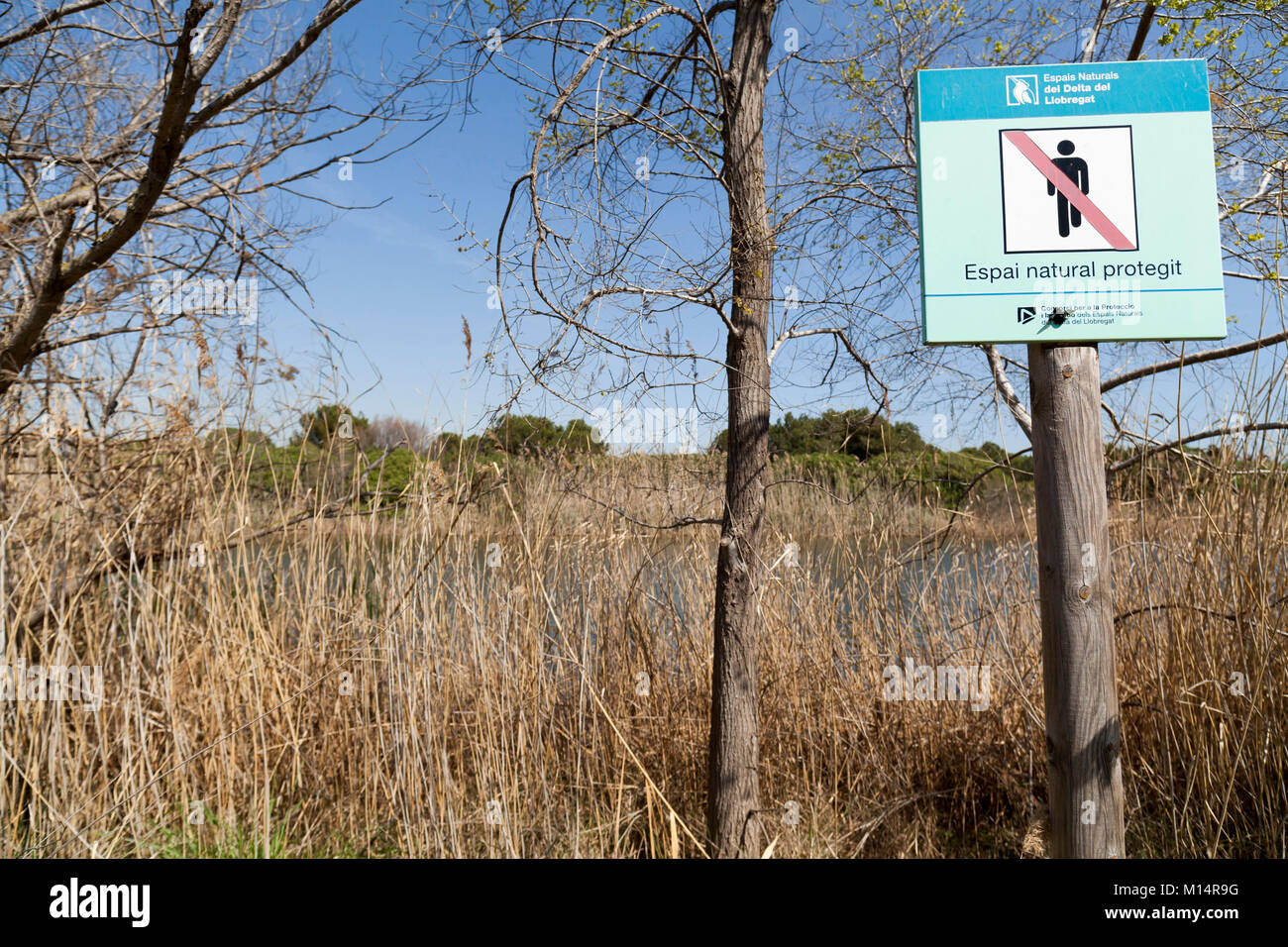 Llobregat river hi-res stock photography and images - Alamy