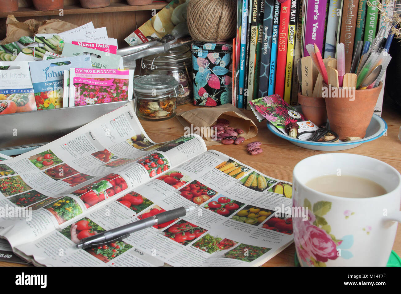 Organising seed packets and ordering seeds from a catalogue for the new ...