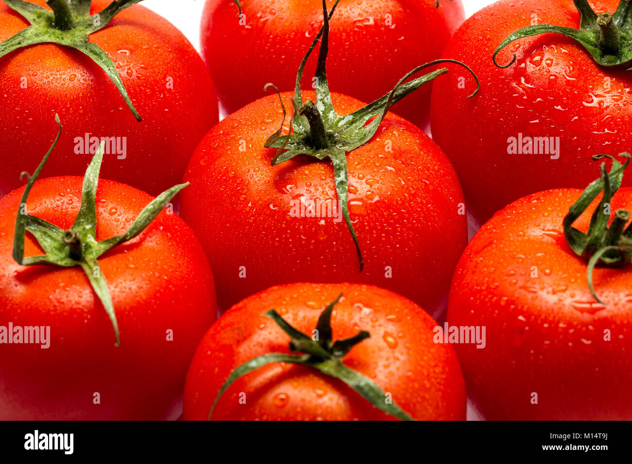 A Row Of Tomatoes Stock Photo - Alamy