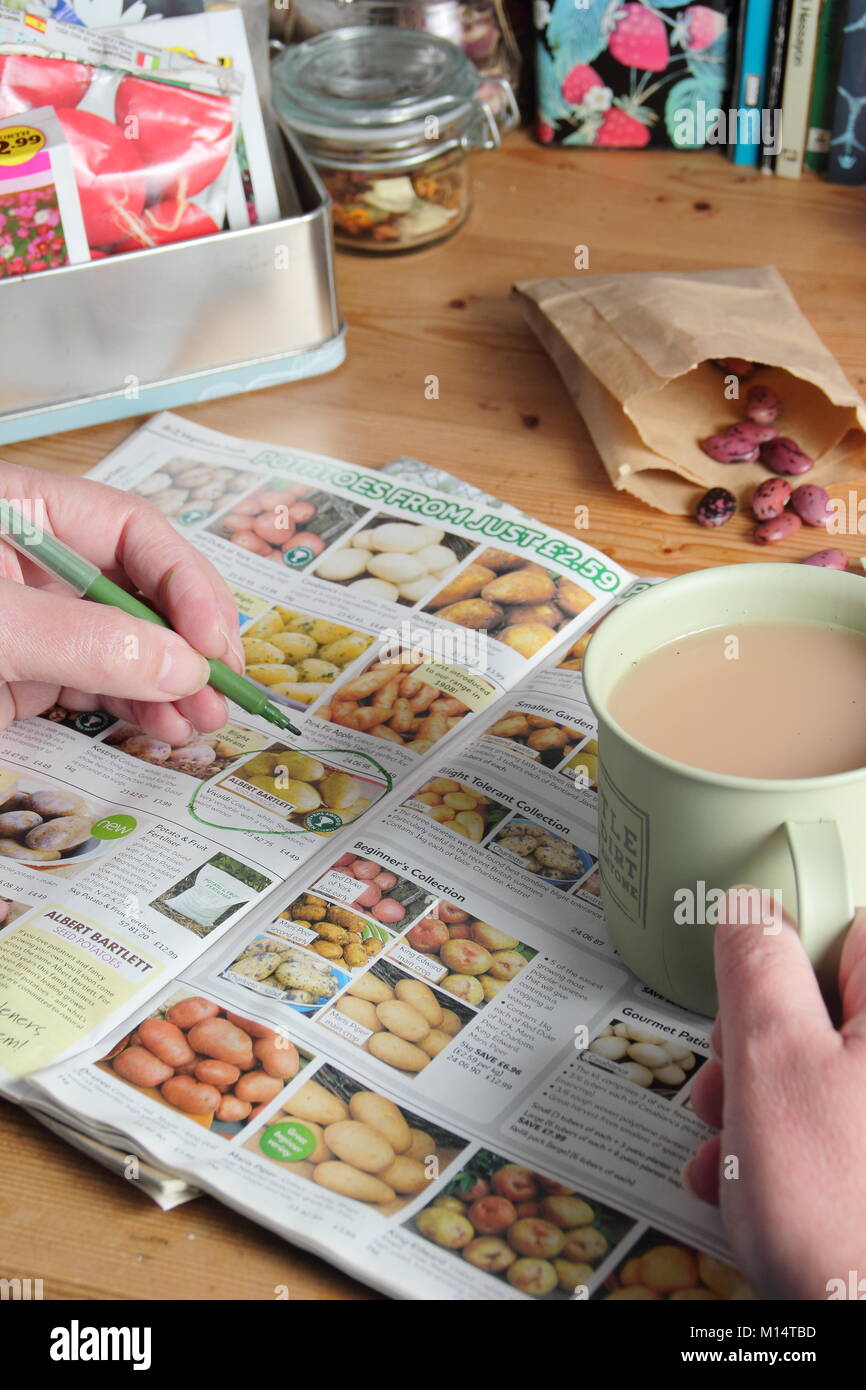 Winter Garden Uk High Resolution Stock Photography and Images - Alamy