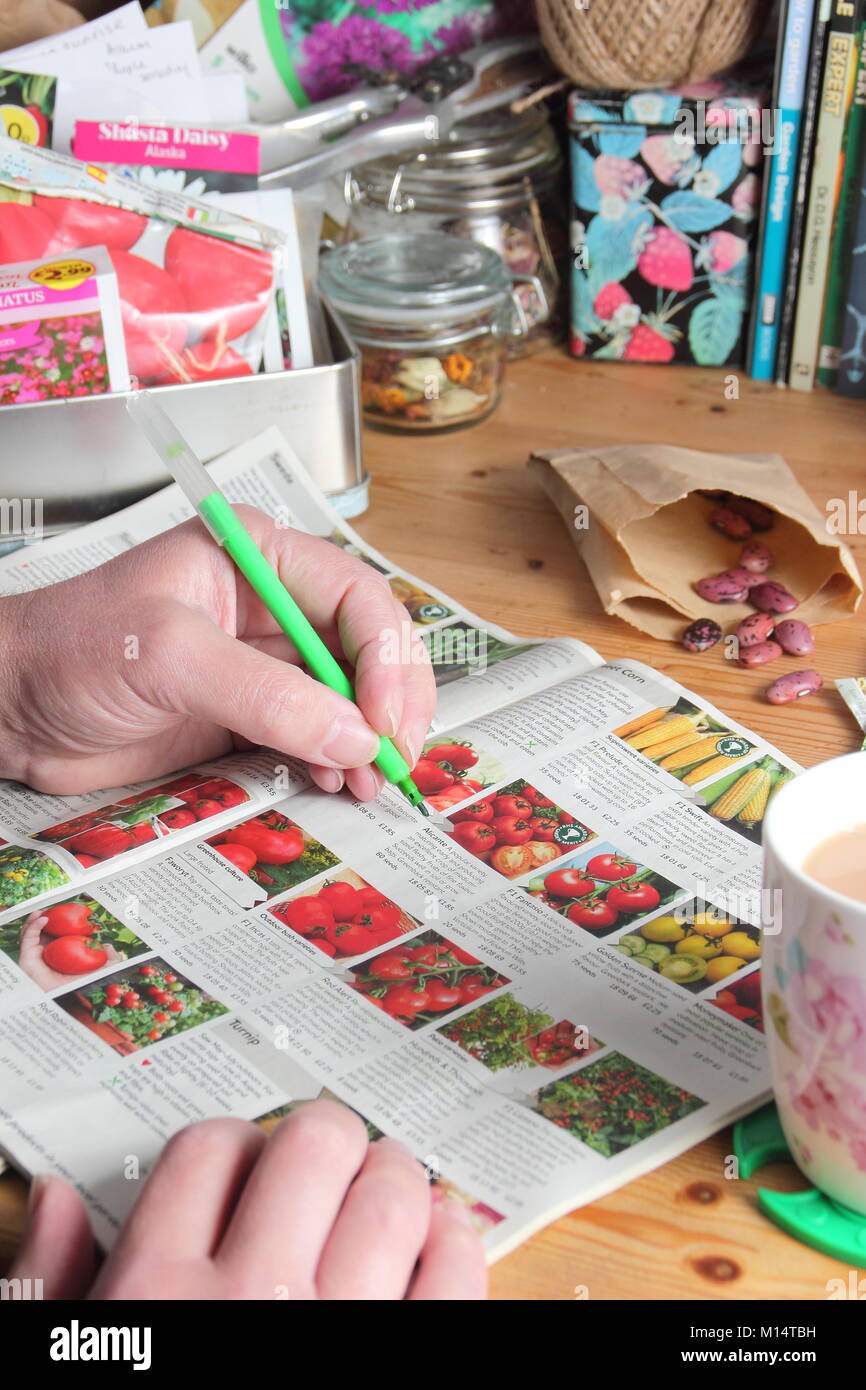 Organising seed packets and ordering seeds from a catalogue for the new ...