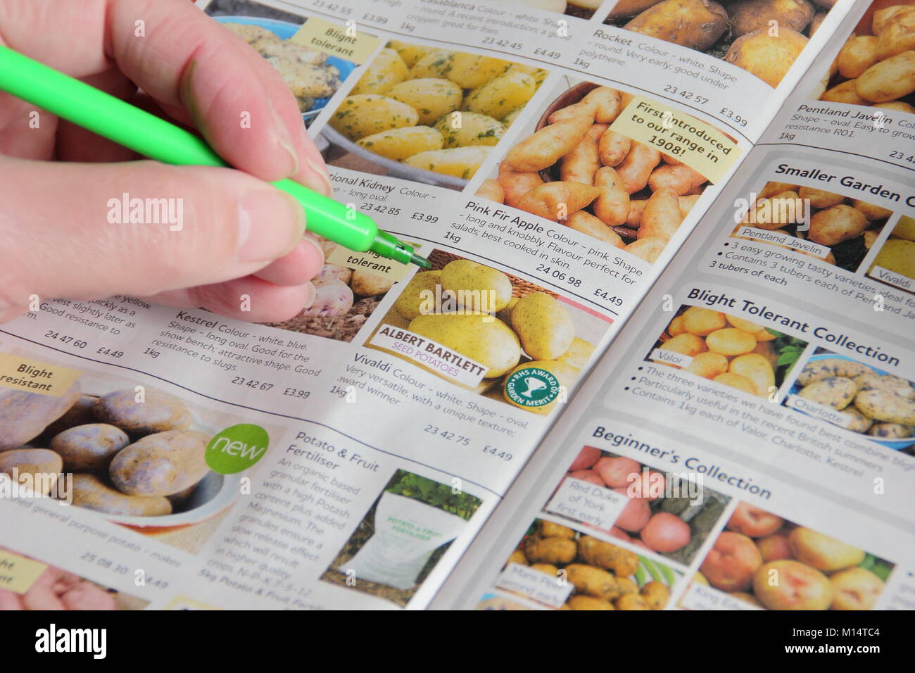 Seeds catalogue uk hi-res stock photography and images - Alamy