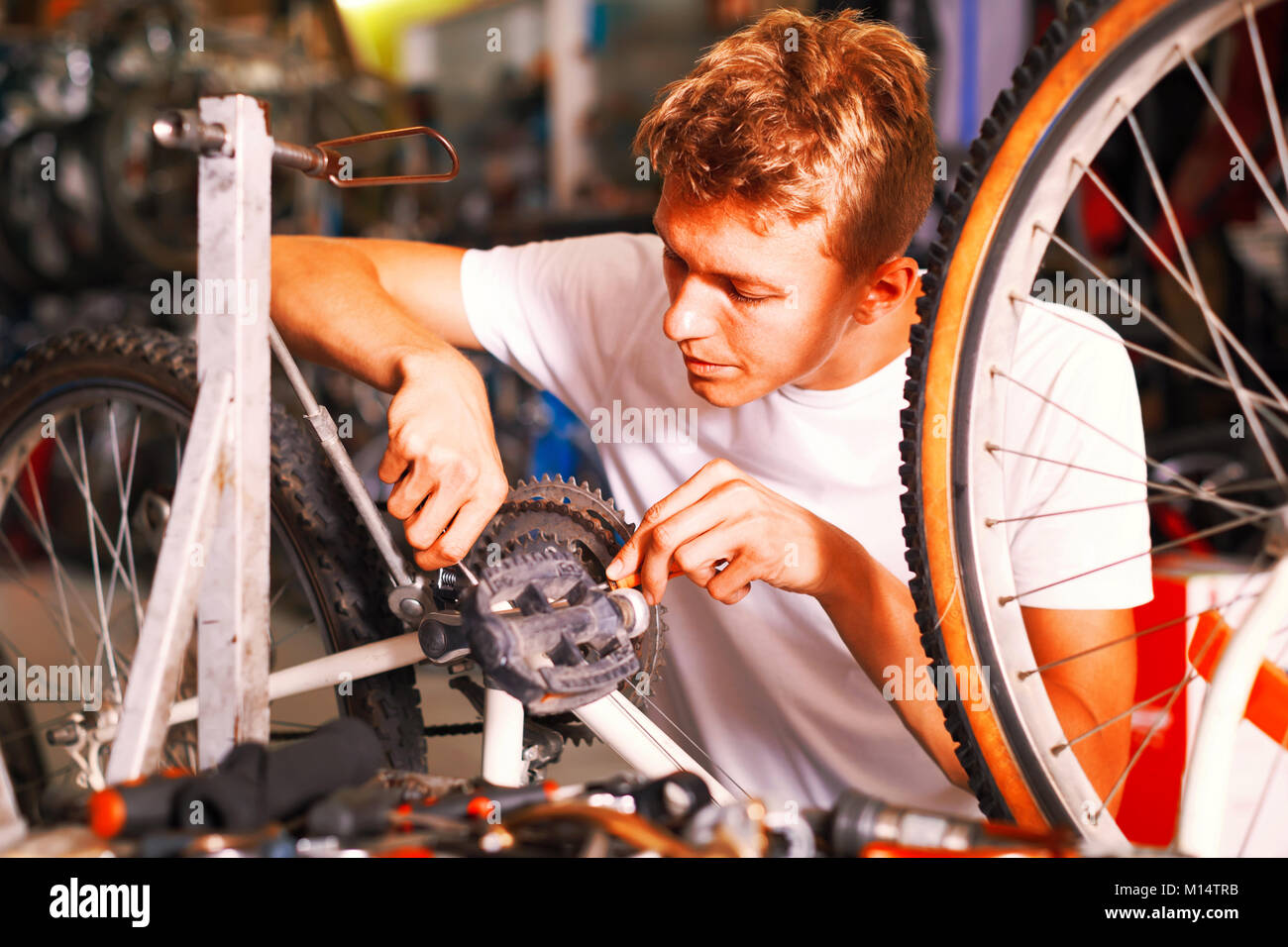 professional man repairing bicycles in the repair workshop Stock Photo ...