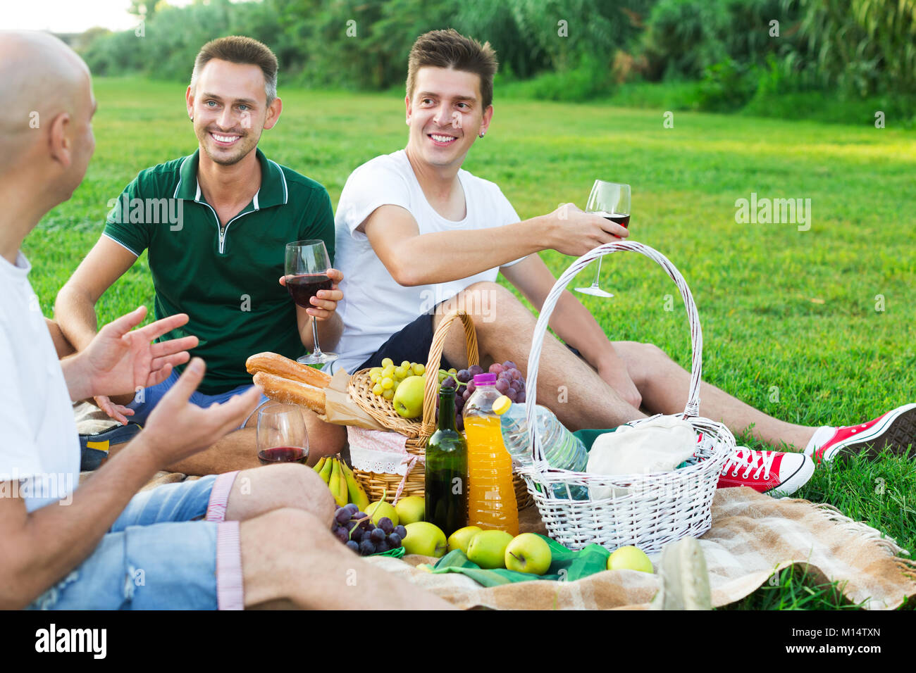 Three male friends spending time together on picnic on green lawn ...
