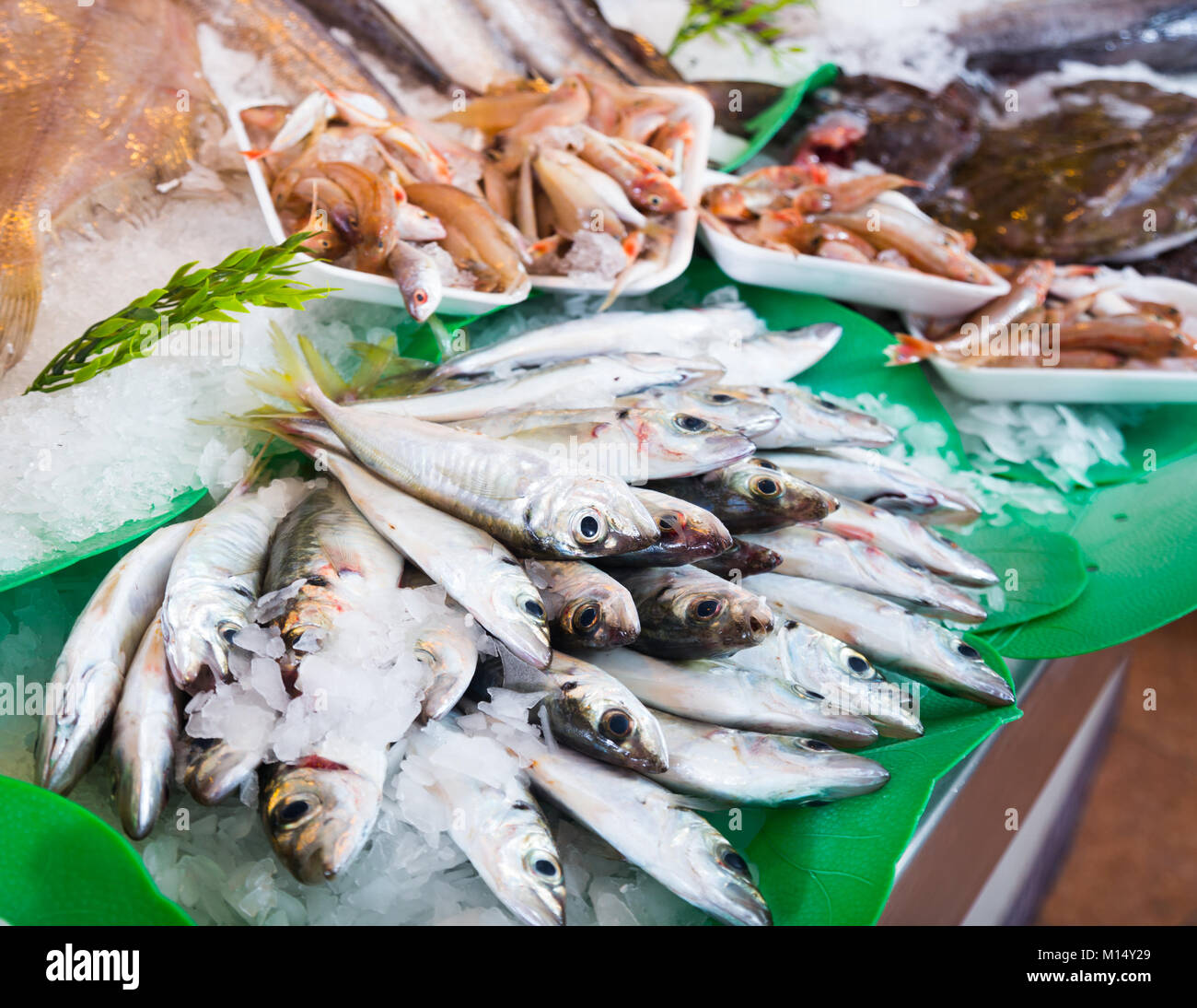 fresh fish on market seafood counter, close up Stock Photo - Alamy