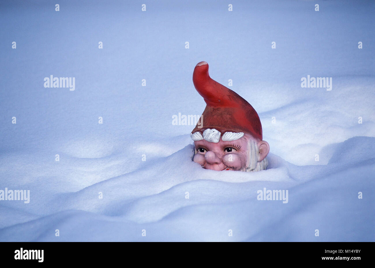 Snow gnome hi-res stock photography and images - Alamy