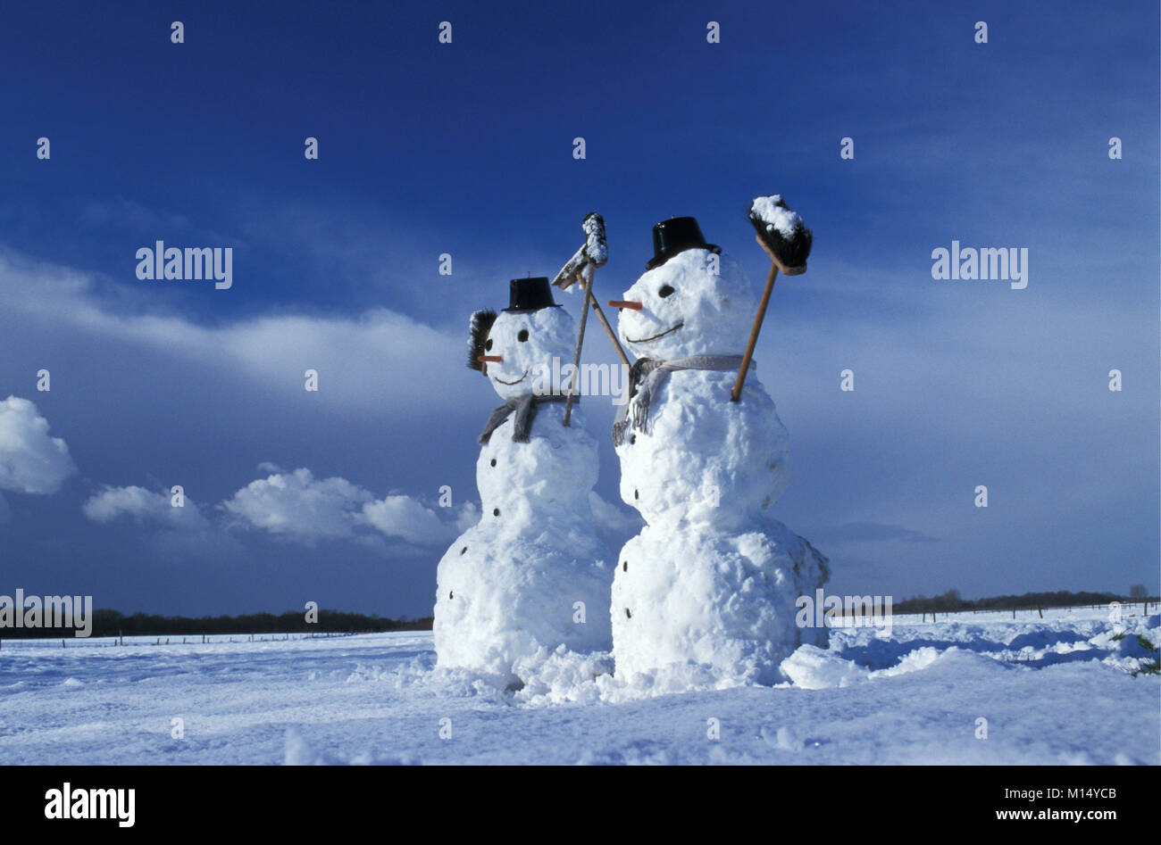 The Netherlands. 's-Graveland. Winter. Snow. Snowmen Stock Photo - Alamy