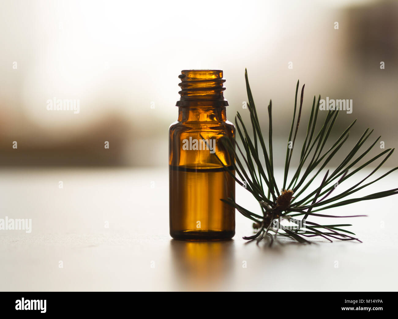 Pine essential oil and pine twigs Stock Photo - Alamy