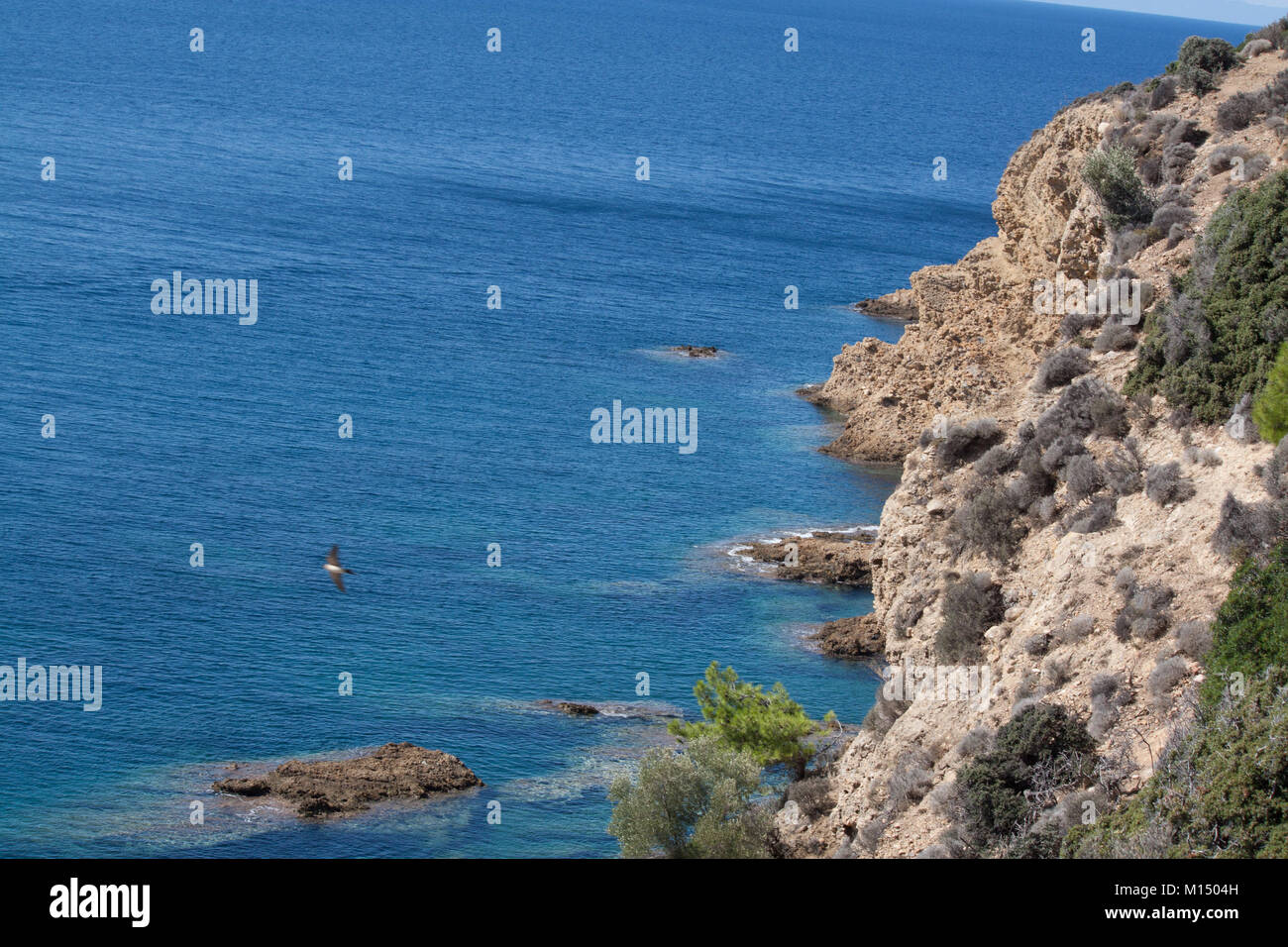 wild beaches on the island Stock Photo - Alamy