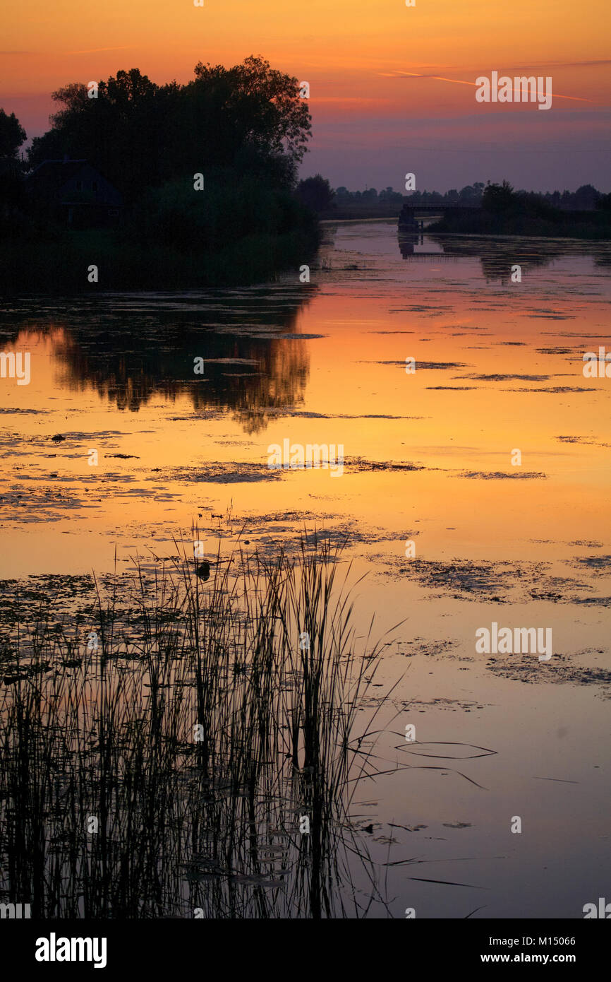 River in sunset Stock Photo - Alamy