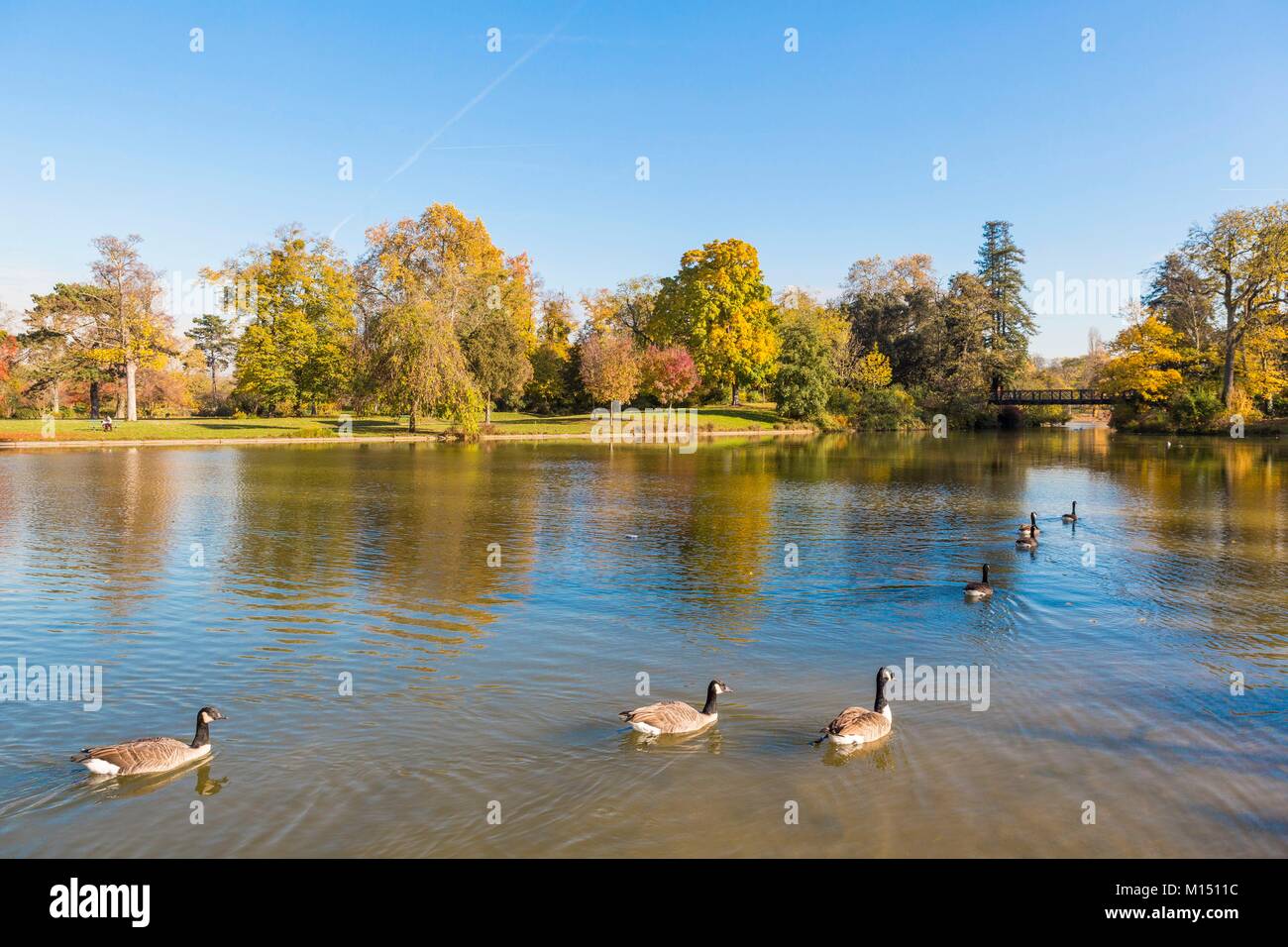 France, Paris, Bois de Vincennes, Daumesnil Lake in autumn Stock Photo ...