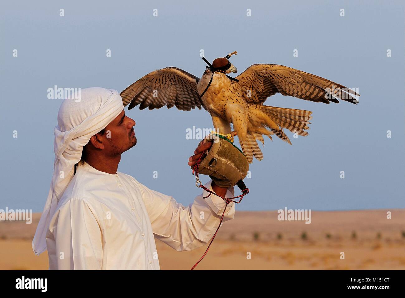 Falconry dubai hi-res stock photography and images - Alamy