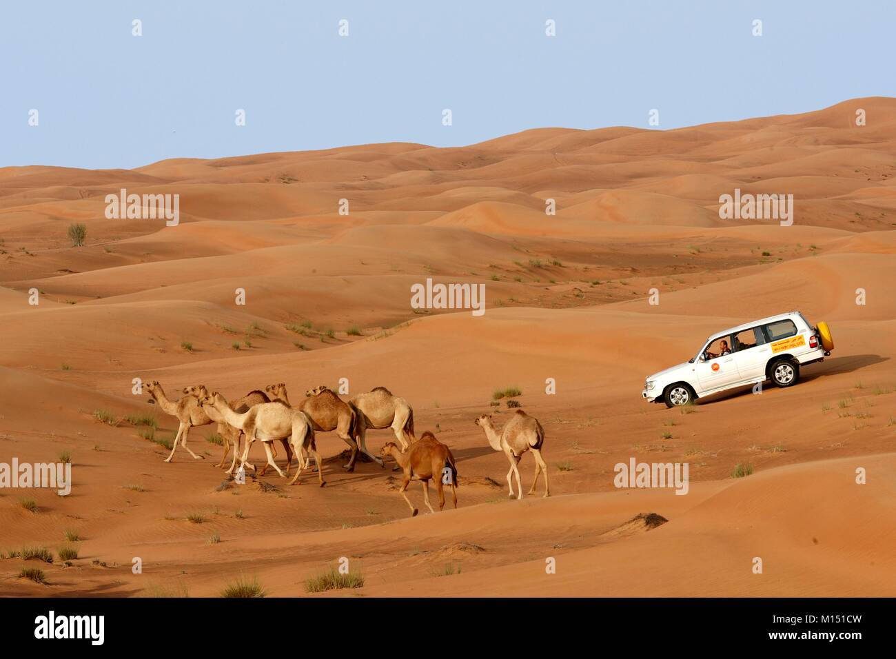 Emirates wheel sharjah hi-res stock photography and images - Alamy