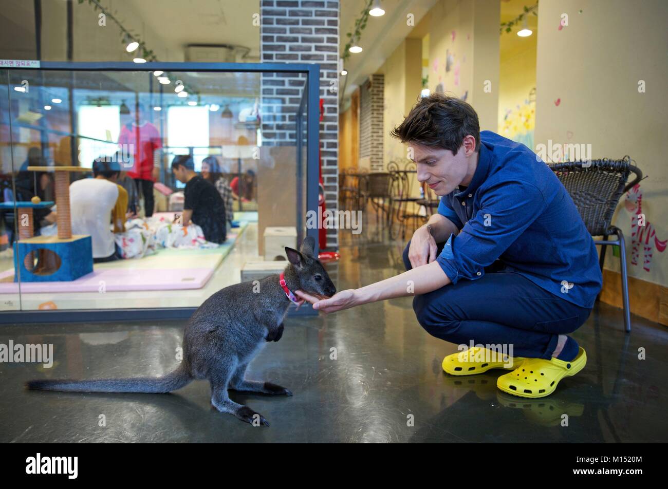 Fabien Yoon Half Korean