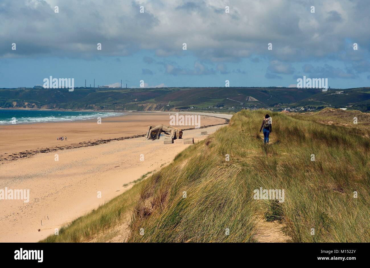 France, Manche, Cotentin peninsula, natural Reserve La Mare de Vauville ...