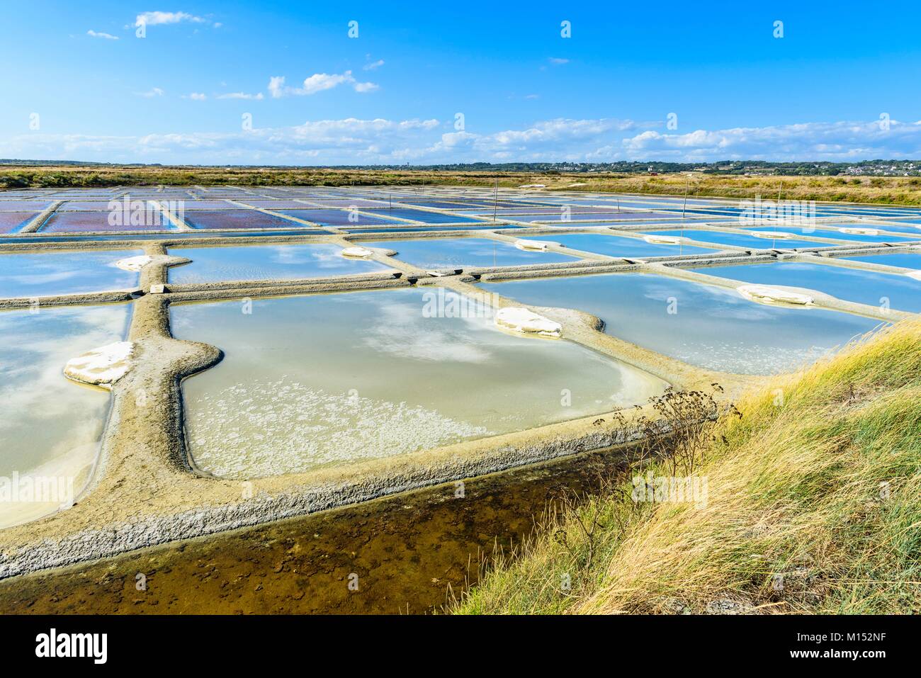 France, Loire Atlantique, Guerande peninsula, Guerande salt marshes ...