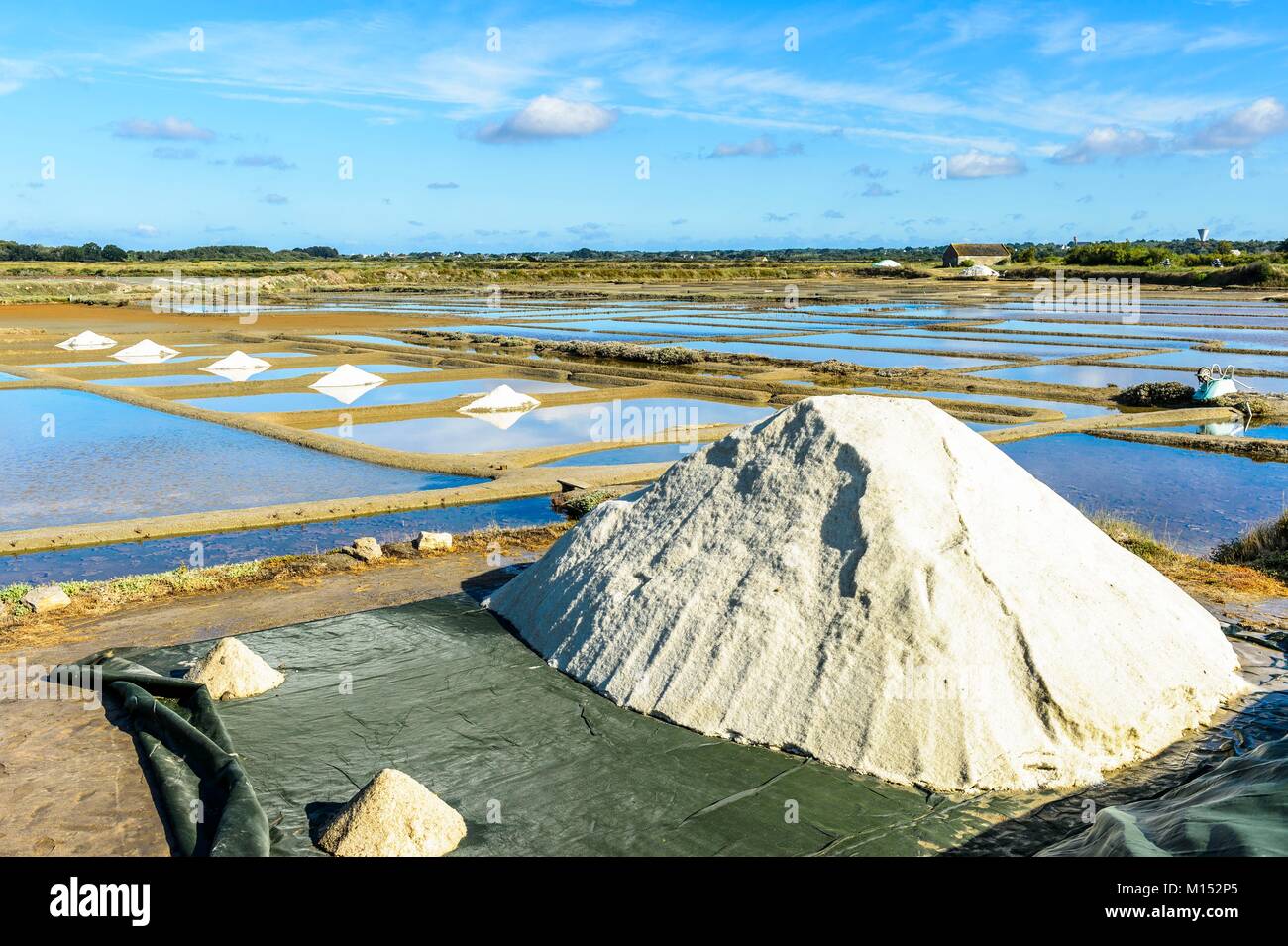 France, Loire Atlantique, Guerande peninsula, Guerande salt marshes ...