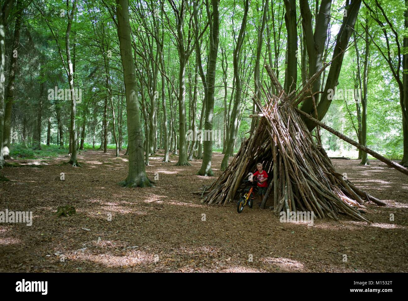 France normandy forest hi-res stock photography and images - Alamy