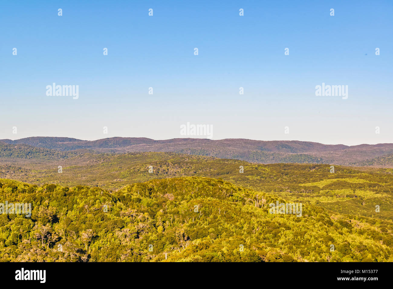 Aerial forest landscape scene at chiloe island, Chile Stock Photo - Alamy