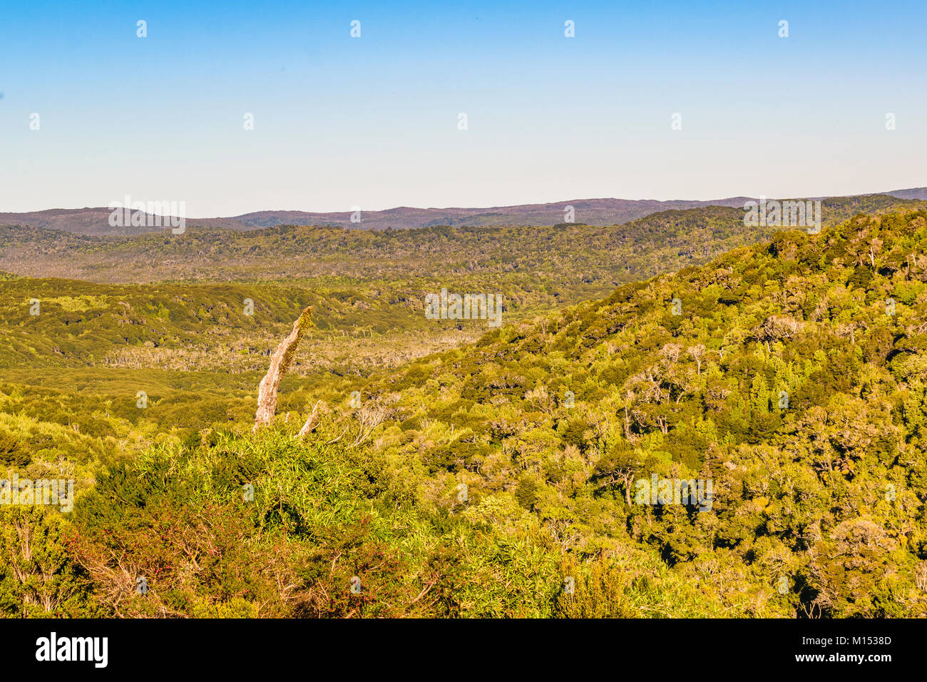 Aerial forest landscape scene at chiloe island, Chile Stock Photo - Alamy