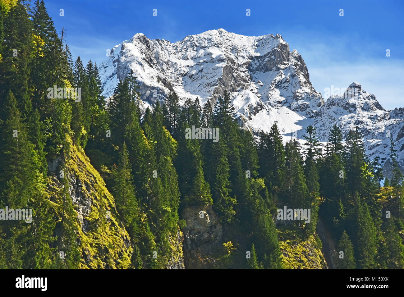 Beautiful alpine landscape with lush-green forests and snow-covered ...