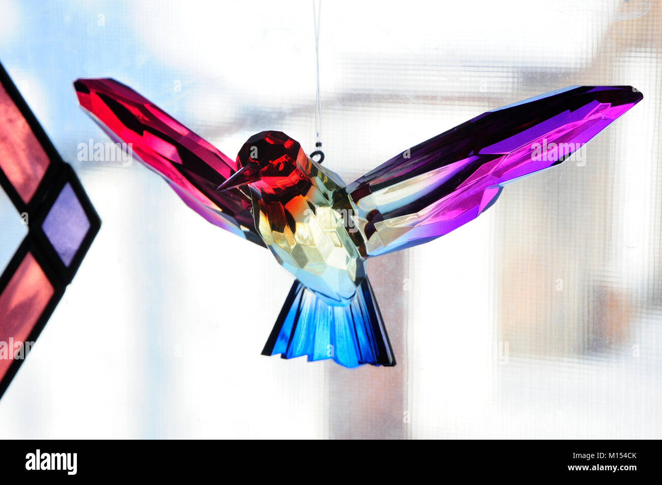 A Crystal Hummingbird hanging in window Stock Photo - Alamy