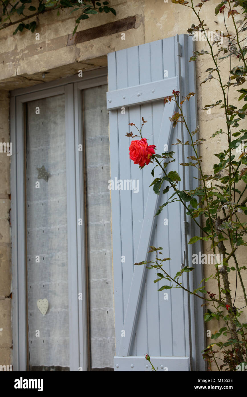 The romantic window with red roses Stock Photo - Alamy