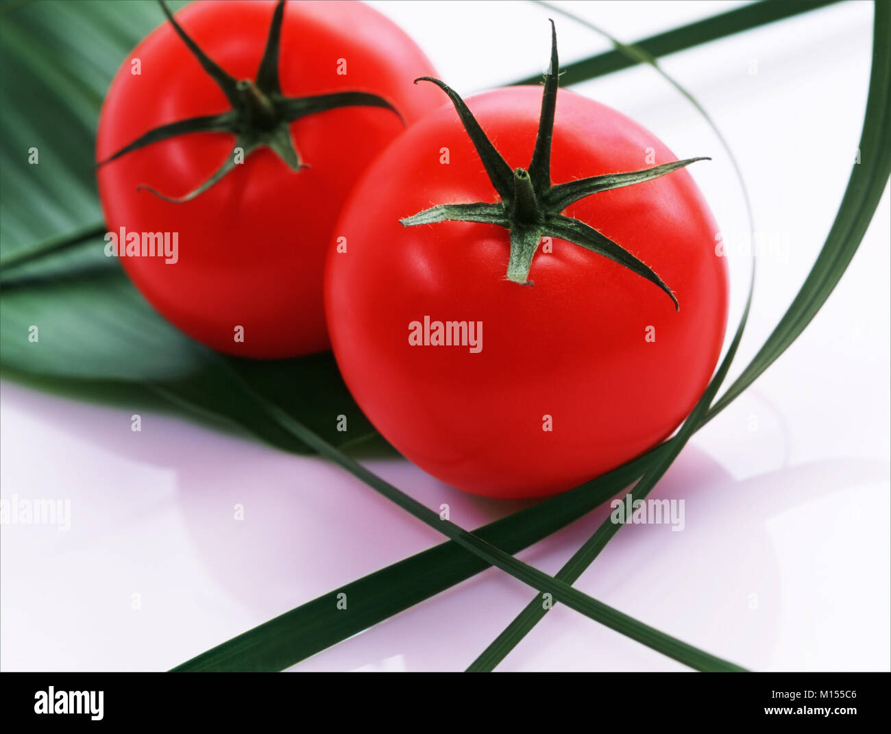 composition of tomatoes with leaves on white background Stock Photo - Alamy