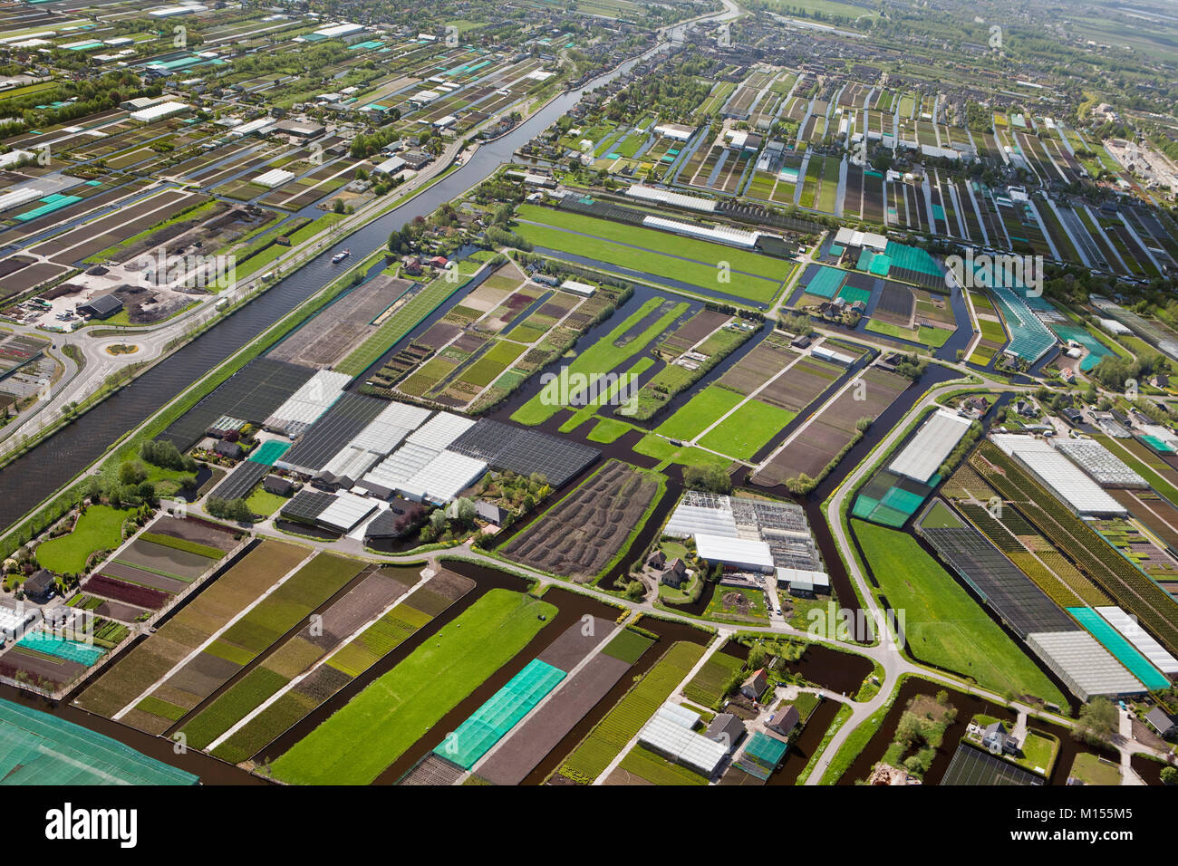 Horizontal horticulture hi-res stock photography and images - Alamy