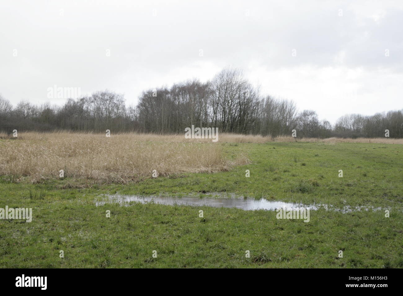 Long millgate hi-res stock photography and images - Alamy