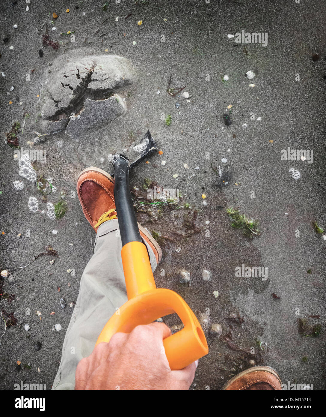 digging the wet sand Stock Photo - Alamy