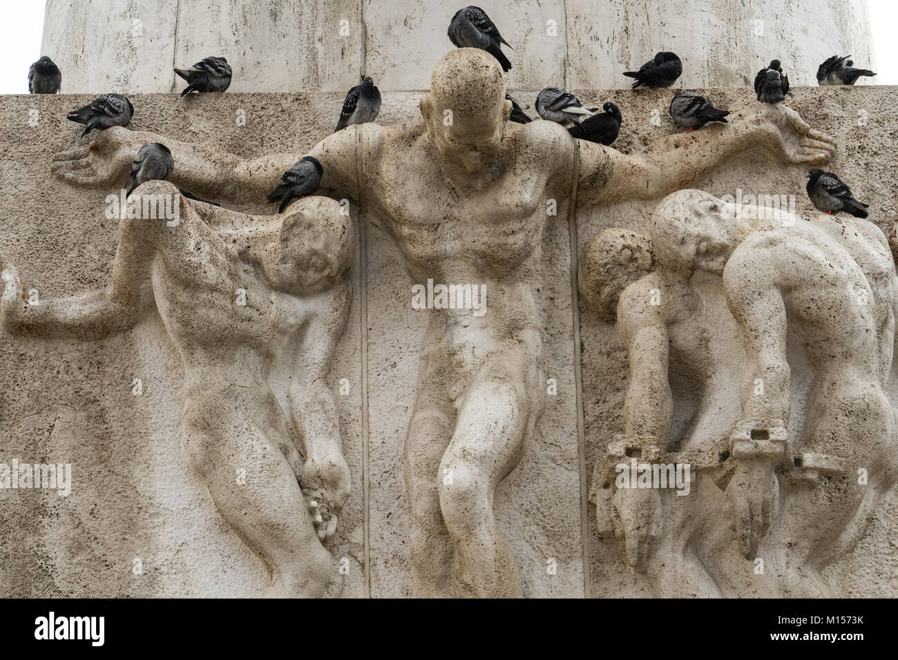 Birds on the arms Stock Photo - Alamy