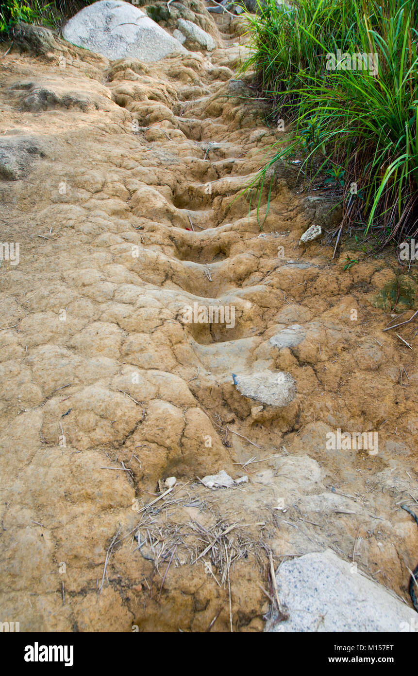 Dried Mud Steps - Muddy clay naturally carved into steps Stock Photo ...