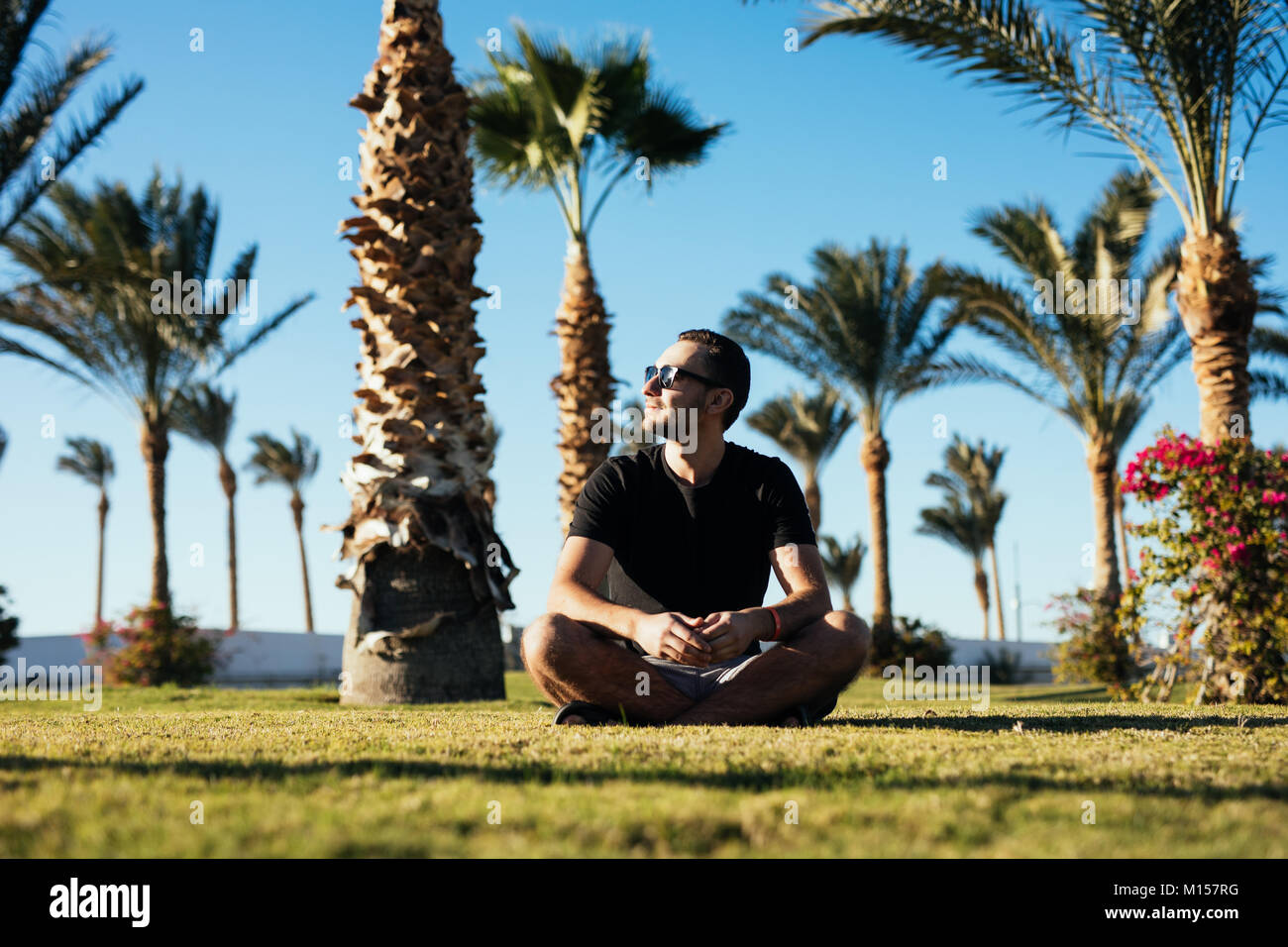 Bearded palm tree hi-res stock photography and images - Alamy