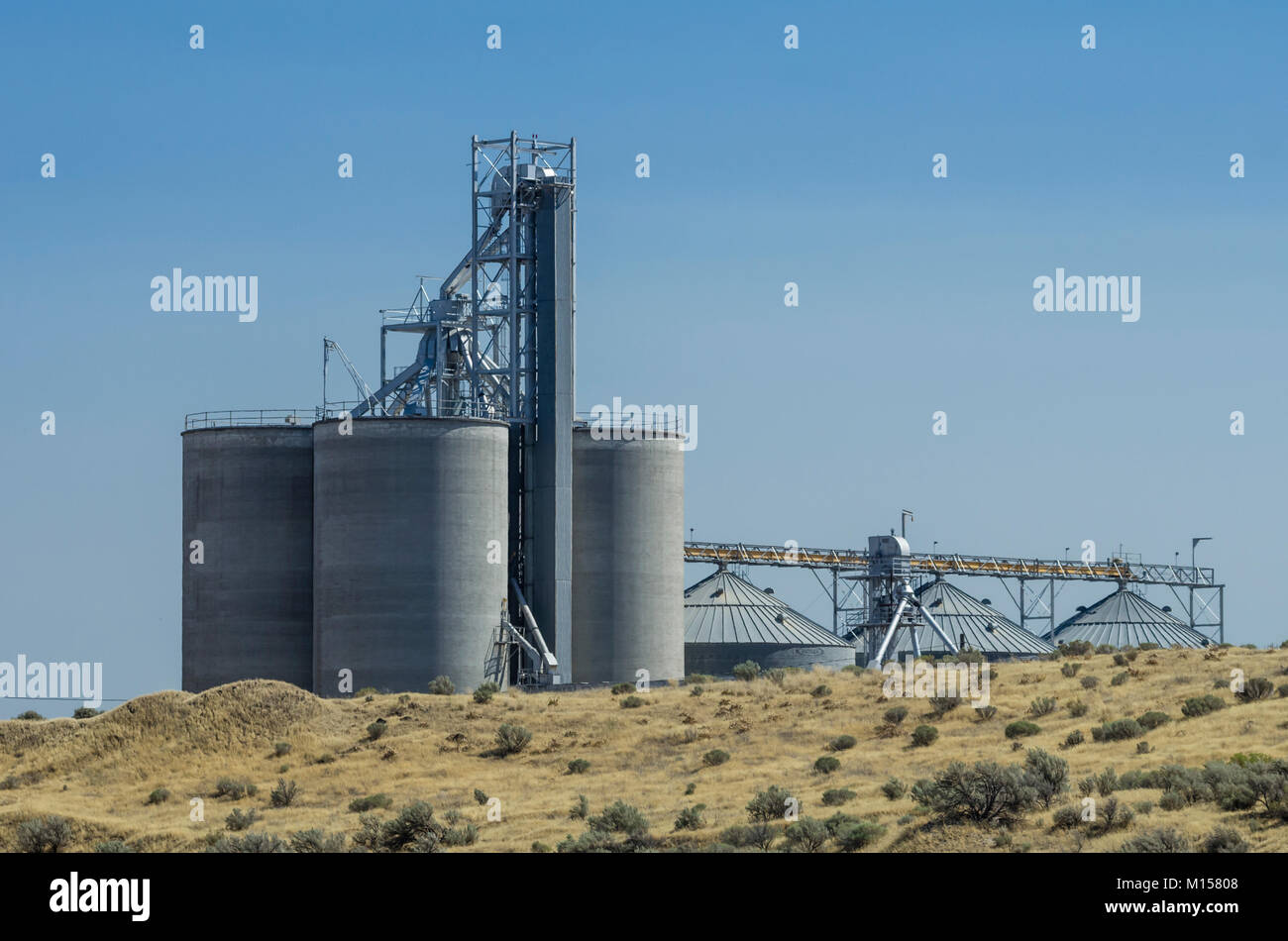 Grain storage and loading facility with silos and conveyors Stock Photo ...