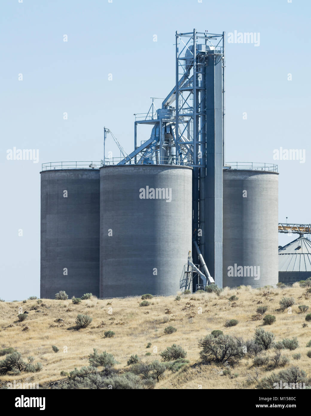 Grain storage and loading facility with silos and conveyors Stock Photo ...